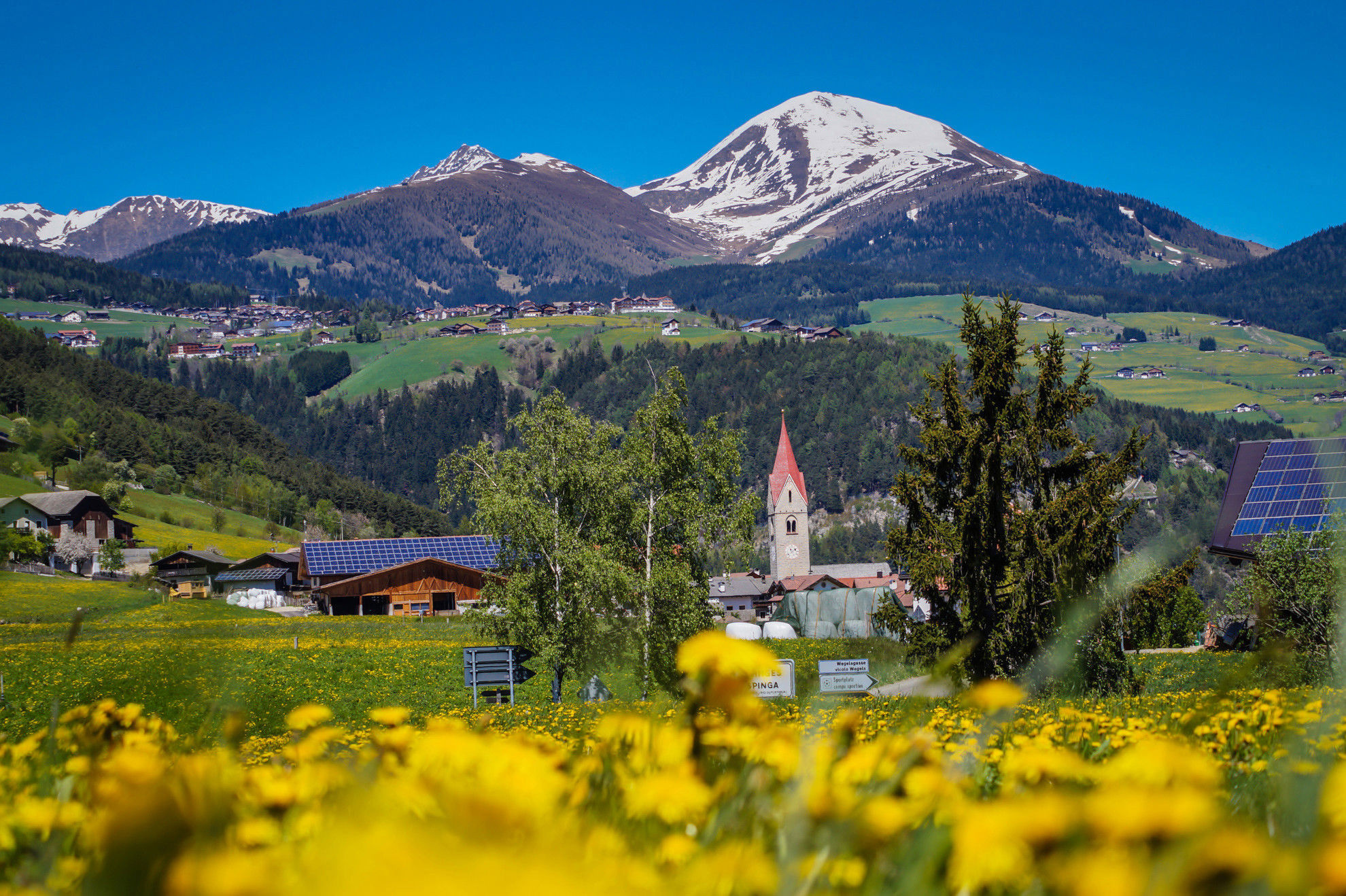 Vacanze Spinga in Trentino Alto Adige | Info & offerte